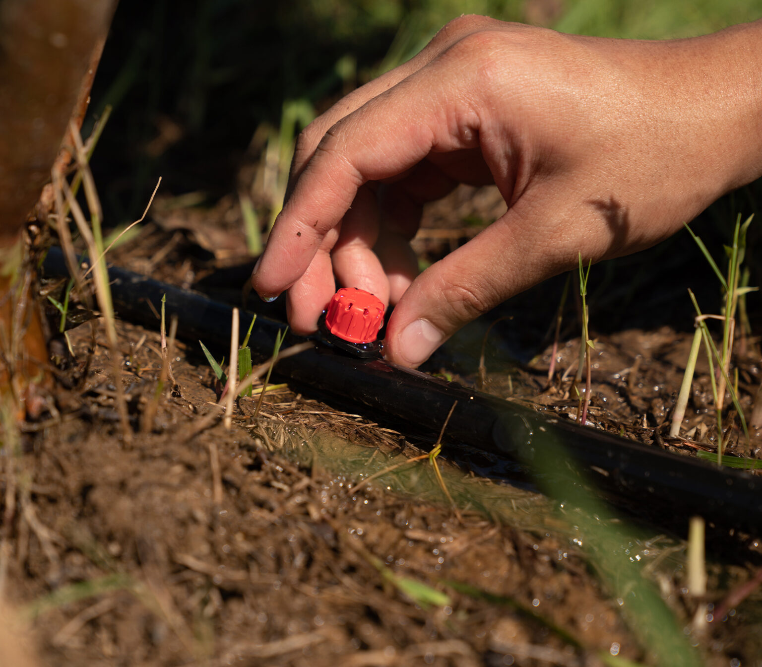 Efficient Farm Irrigation - Proximity Designs