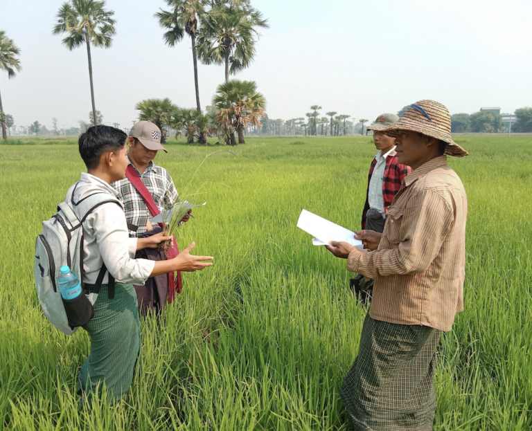 Proximity Designs Helping Rural Myanmar Families Achieve Their Goals