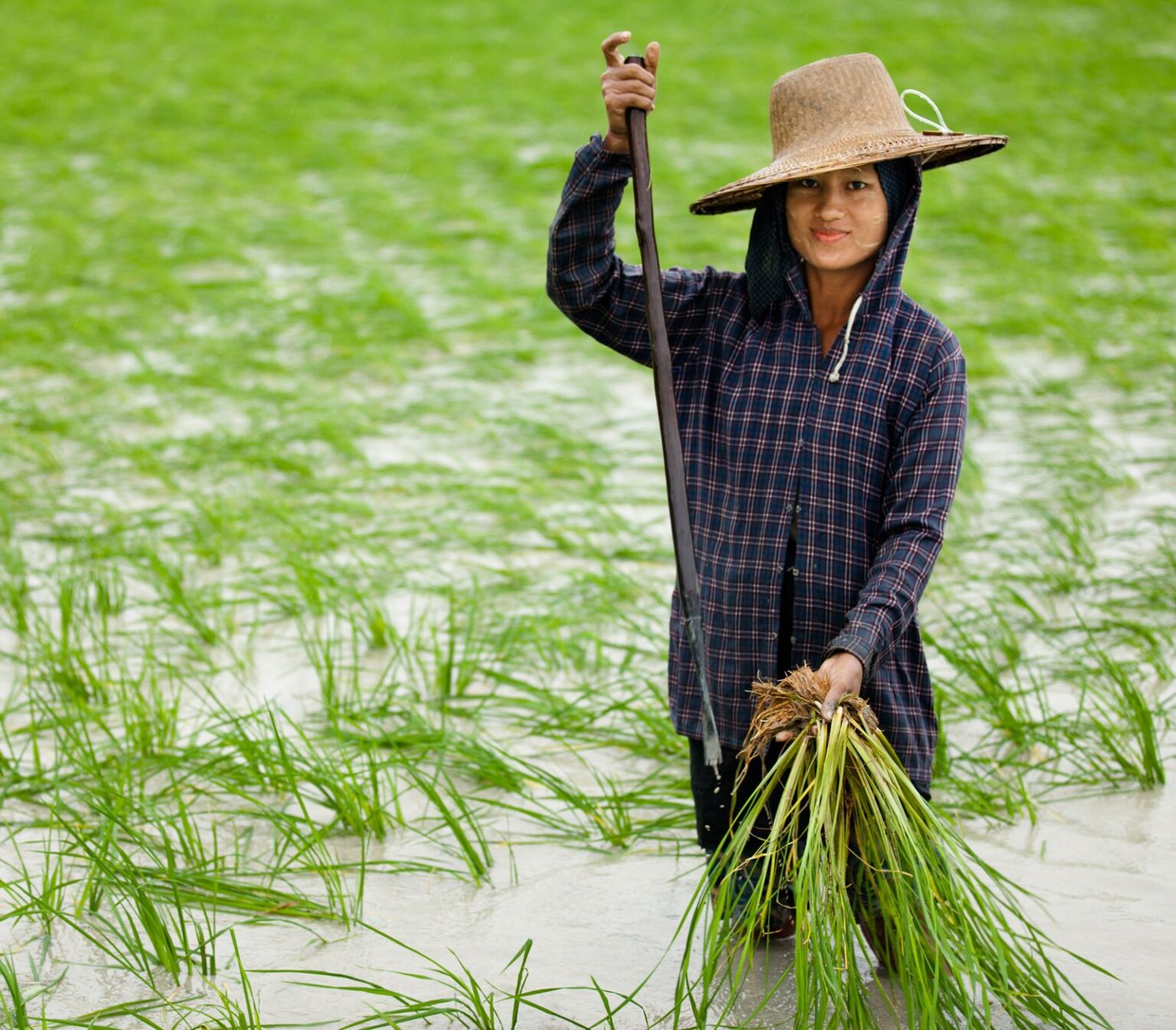 Proximity Designs | Helping Rural Myanmar Families Achieve Their Goals